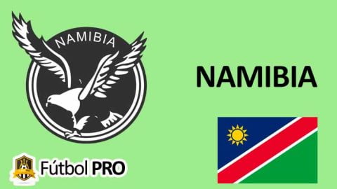 Selección de Fútbol de Namibia: Los Guerreros del Desierto